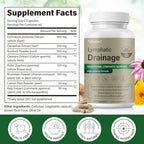 herbal echinacea for detox support