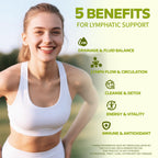 herbal echinacea for detoxification