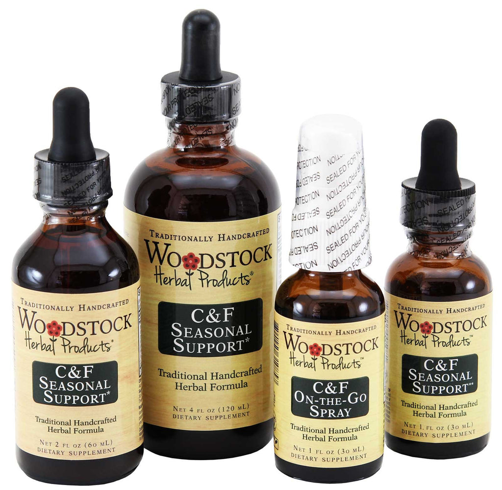 herbal echinacea for immune boost