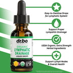 herbal echinacea for immune health