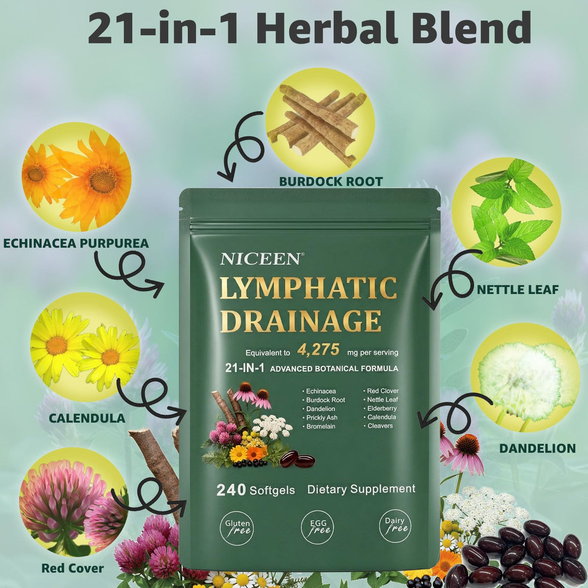 herbal echinacea for overall wellness