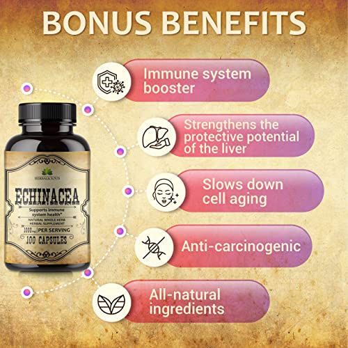 herbal echinacea for seasonal health
