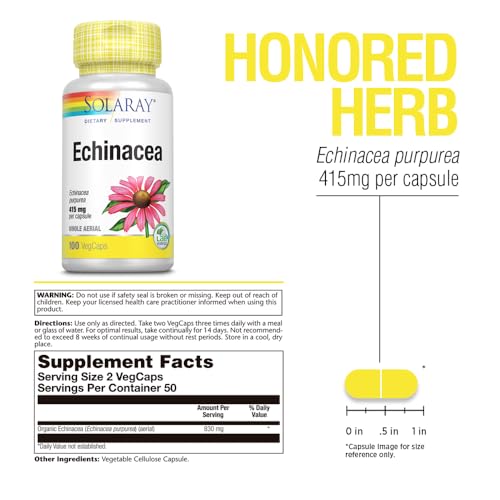 herbal echinacea for seasonal wellness