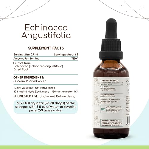herbal echinacea for seasonal wellness