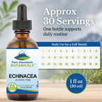 herbal echinacea for seasonal wellness