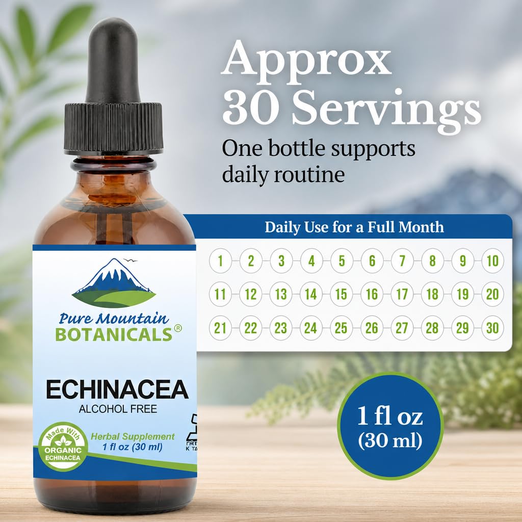 herbal echinacea for seasonal wellness