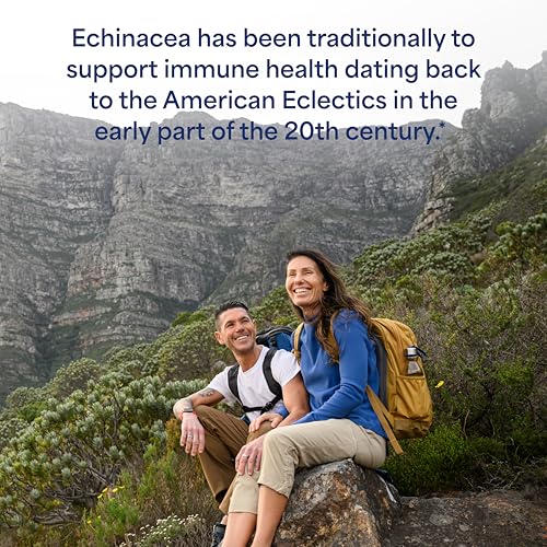 herbal echinacea for seasonal wellness