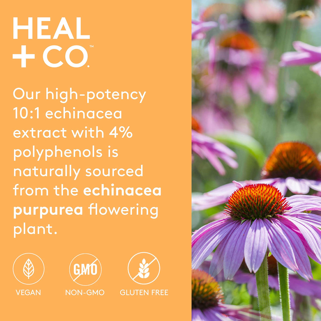 herbal echinacea for throat health