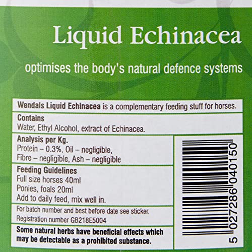 herbal echinacea for wellness support