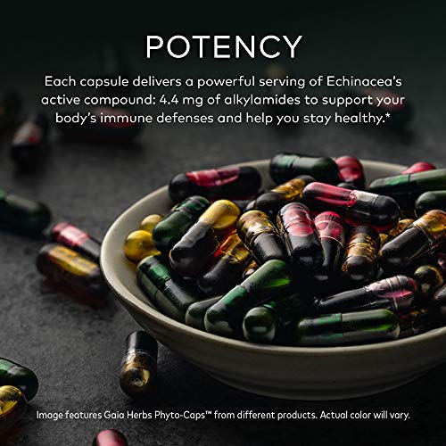 herbal echinacea supplement benefits