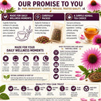 Herbal Echinacea tea bags for herbal remedies