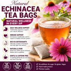 Herbal Echinacea tea bags for wellness