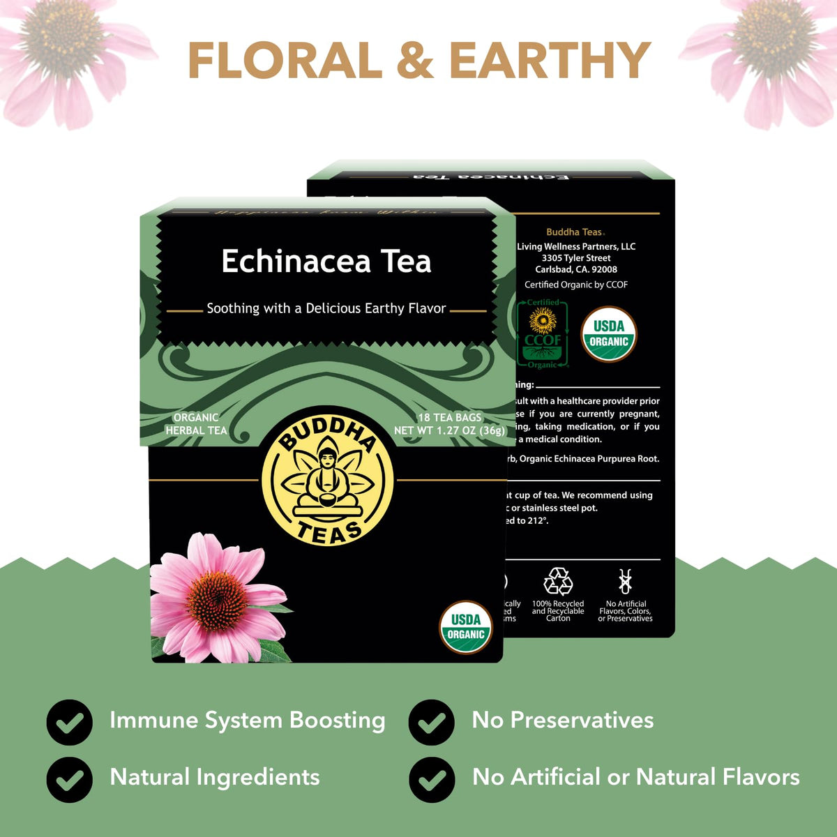 herbal echinacea tea for immune support