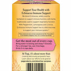 herbal echinacea tea for wellness