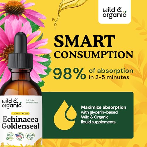 herbal echinacea tincture for respiratory support