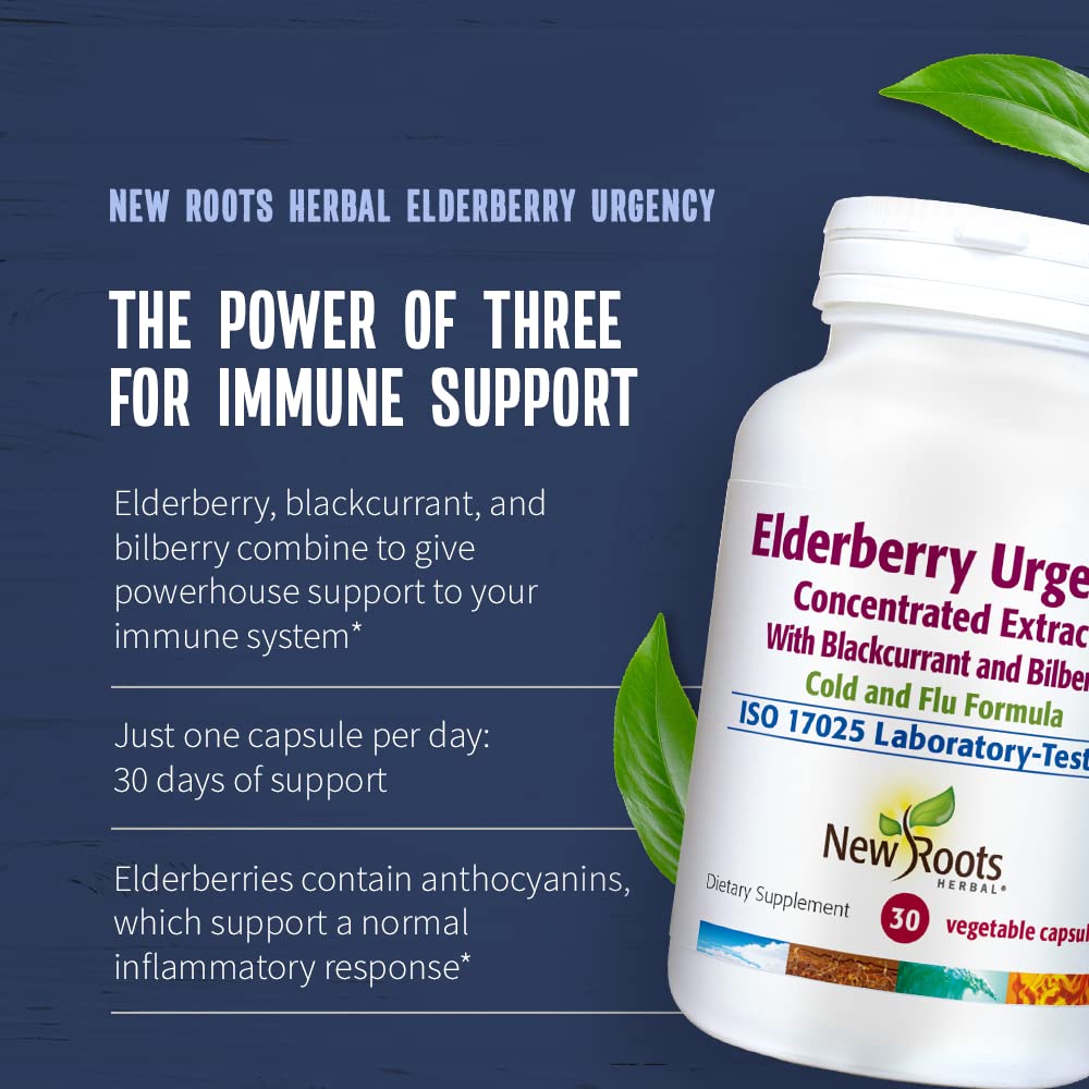 herbal elderberry blend for everyday health