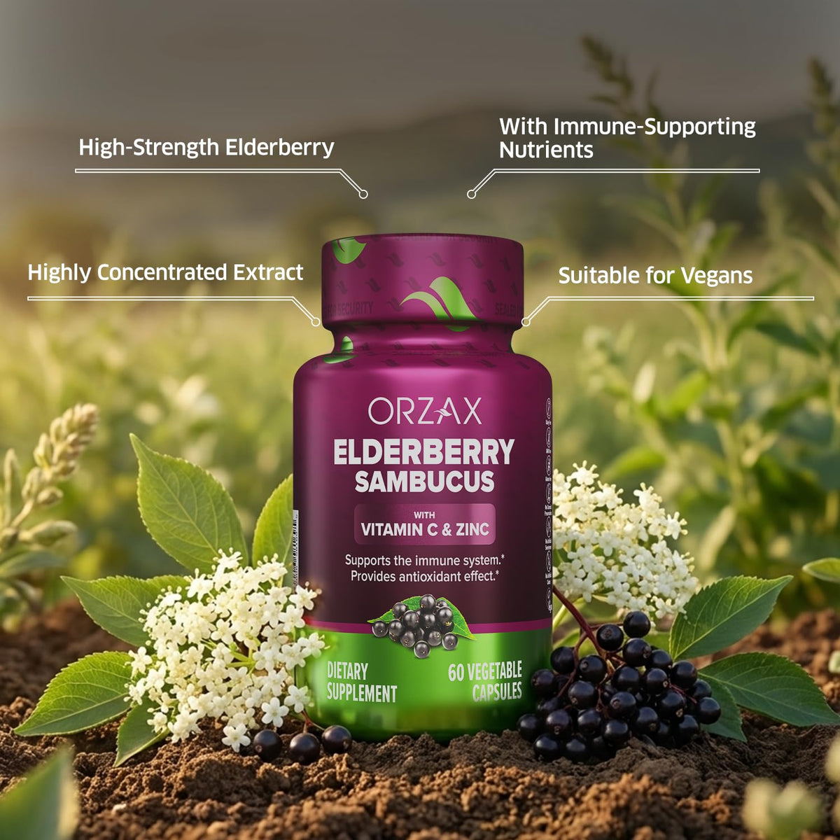 herbal elderberry capsules for adults