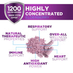herbal elderberry capsules for adults