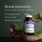 herbal elderberry capsules for cold relief