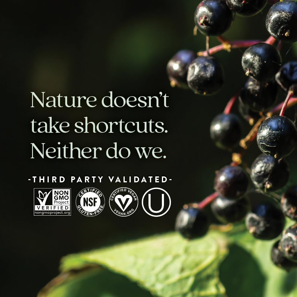 herbal elderberry capsules for everyday health