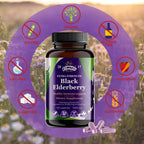 herbal elderberry capsules for everyday use