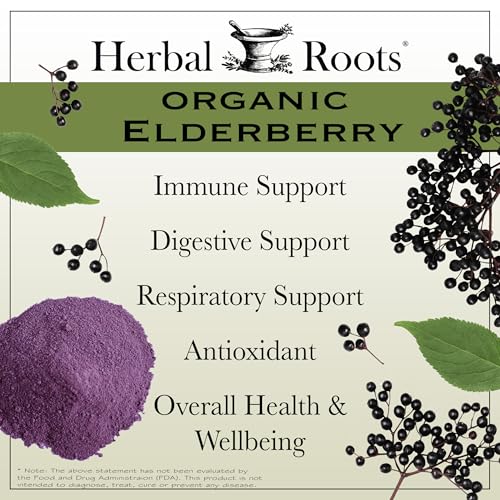 herbal elderberry capsules for health