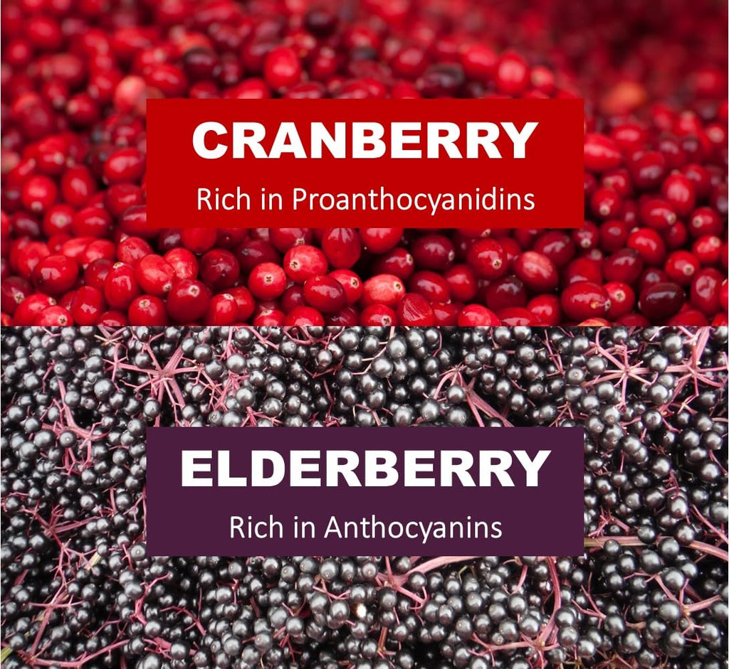 Herbal elderberry concentrate for vitality
