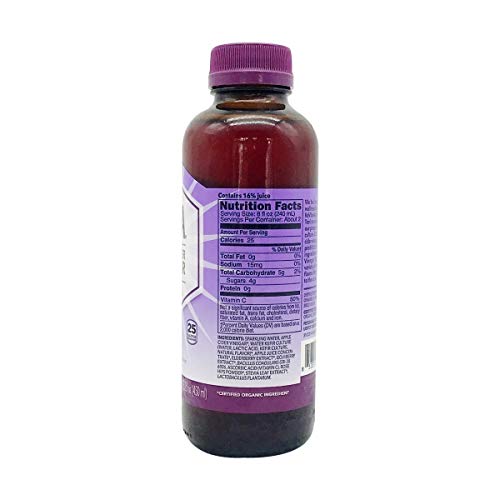 herbal elderberry extract for everyday use