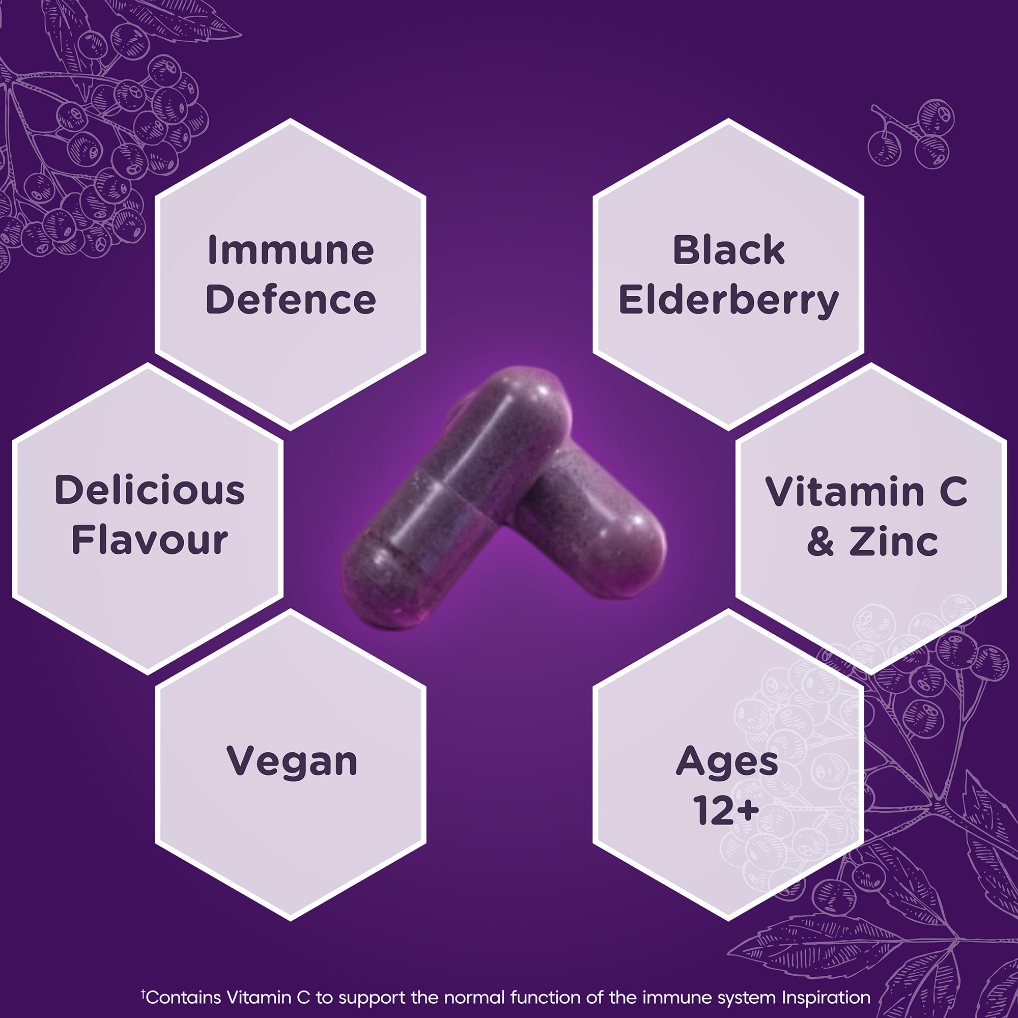 herbal elderberry extract for health