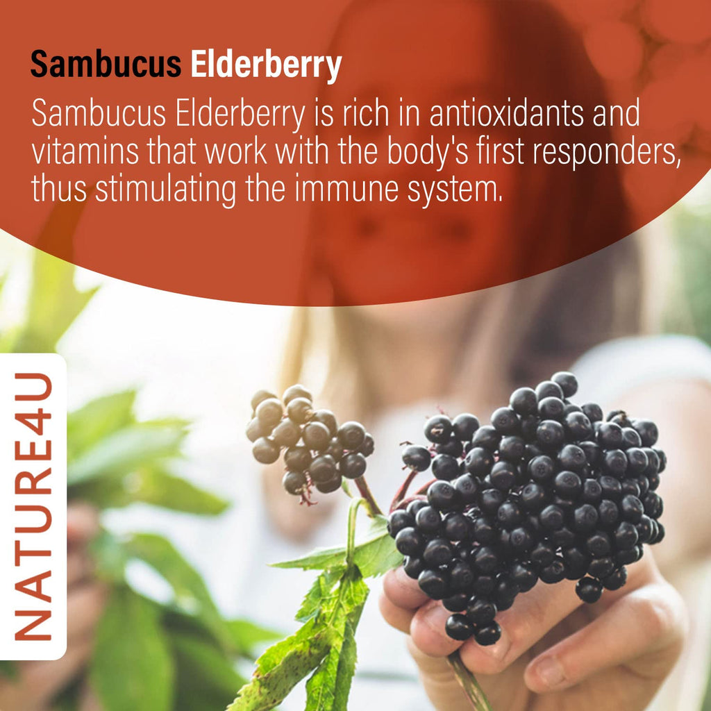 herbal elderberry extract for natural defence
