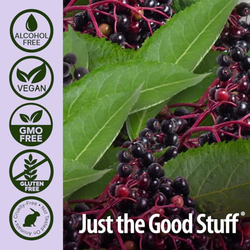 herbal elderberry for children's wellness