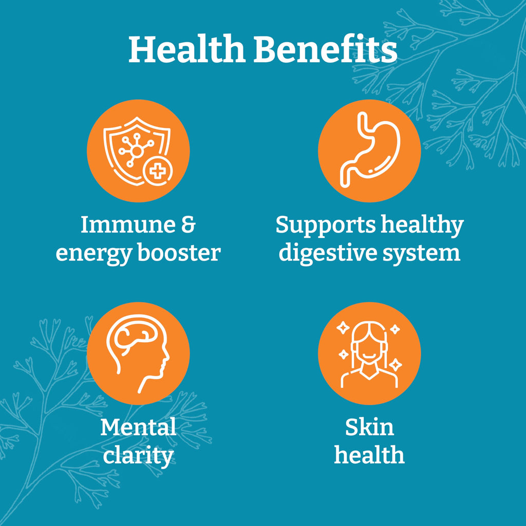 herbal elderberry for everyday vitality