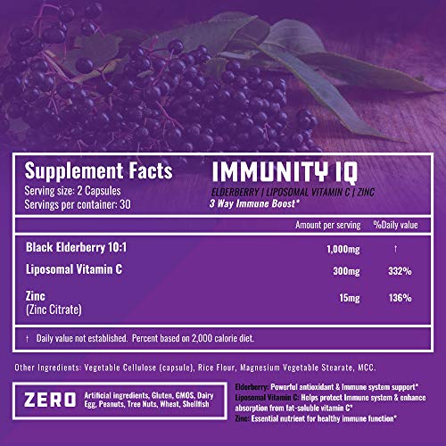 herbal elderberry for immune defense