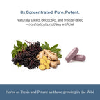 Herbal elderberry for seasonal health