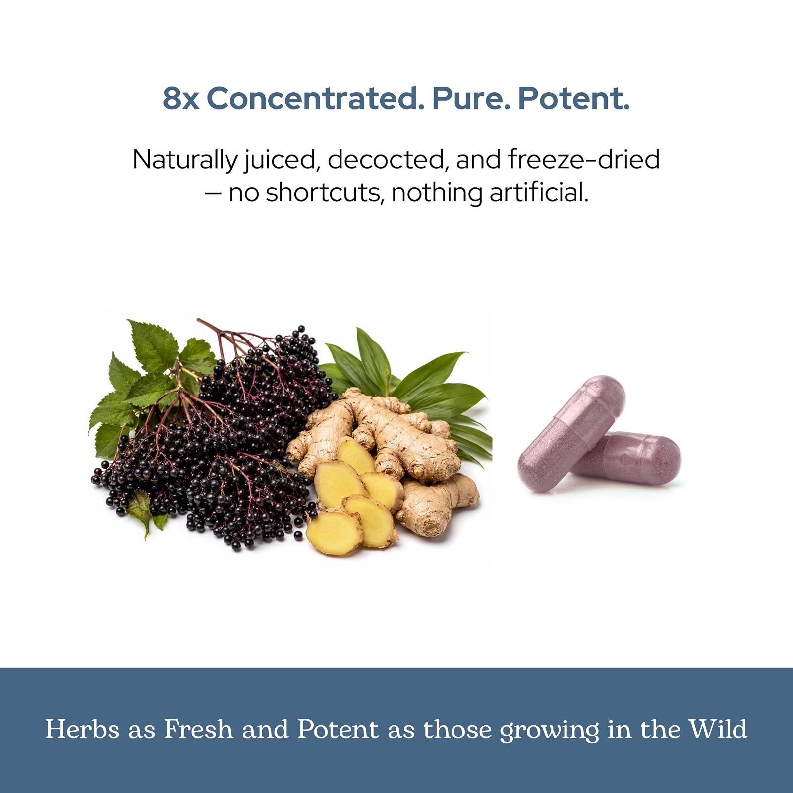 Herbal elderberry for seasonal health