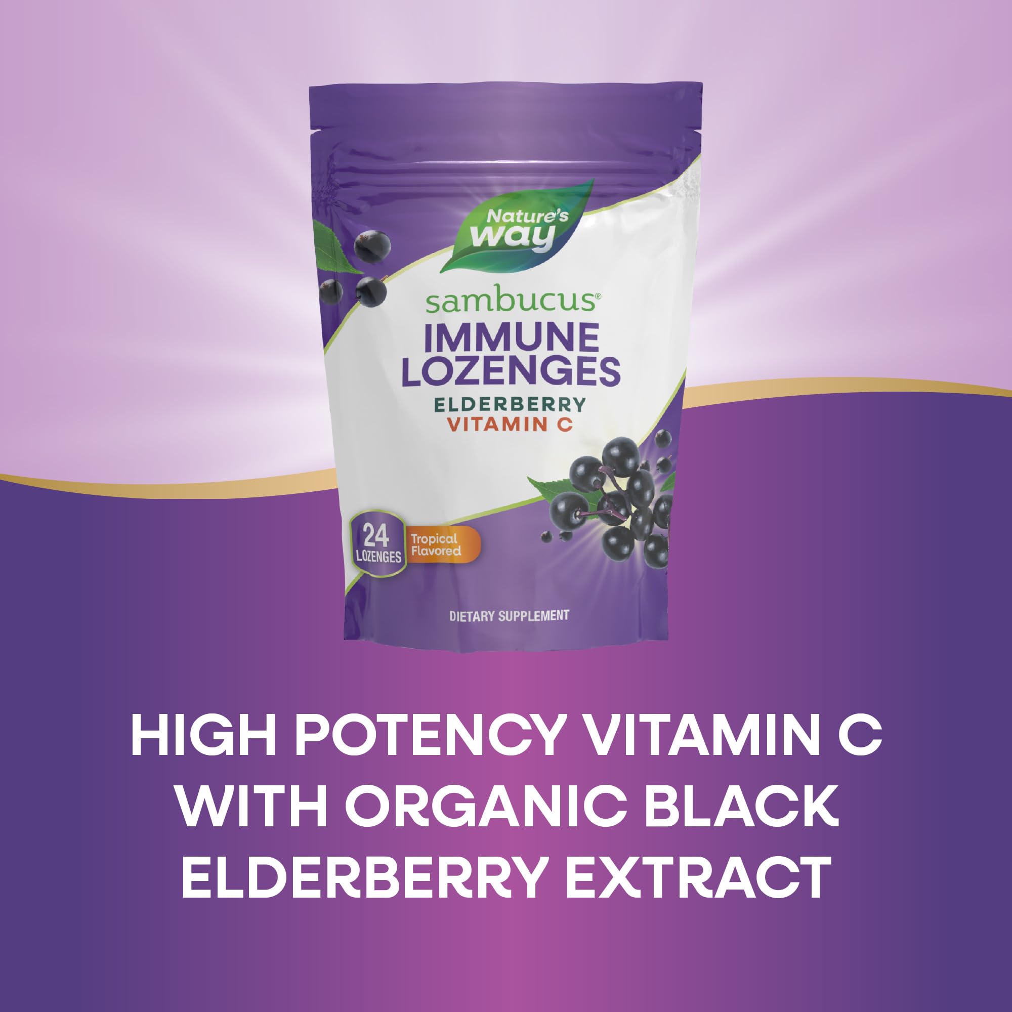 herbal elderberry for seasonal wellness