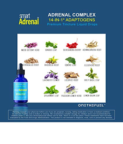 herbal elderberry formula for daily wellness
