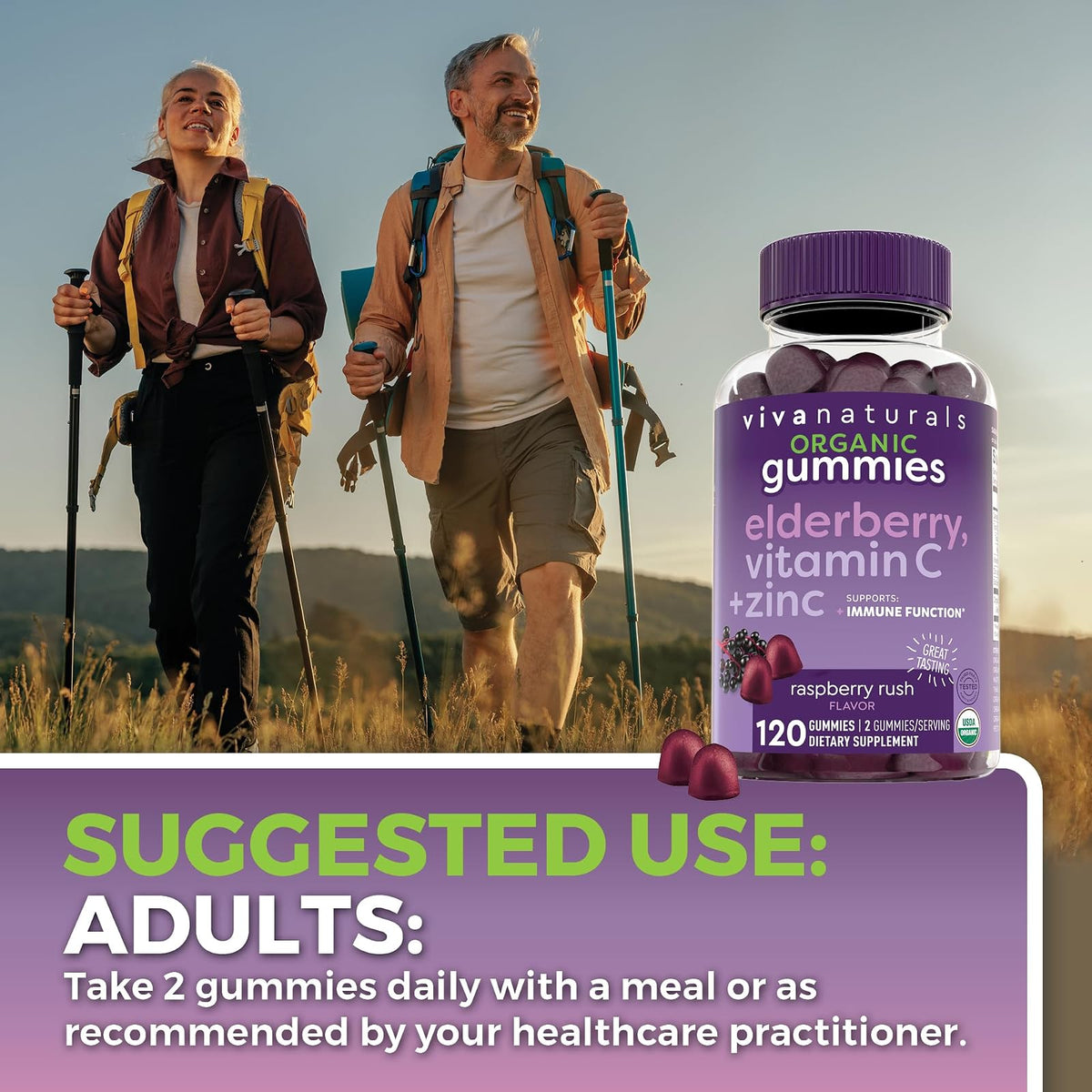 herbal elderberry gummies for cold season