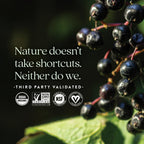 herbal elderberry gummies for cold season