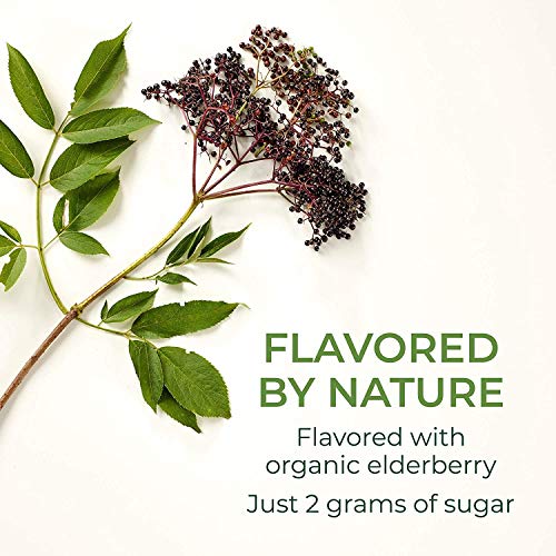 herbal elderberry gummies for daily use
