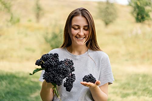herbal elderberry gummies for everyday health