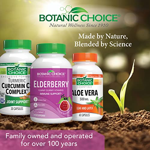herbal elderberry gummies for holistic health