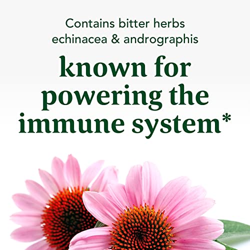Herbal elderberry gummies for natural defense