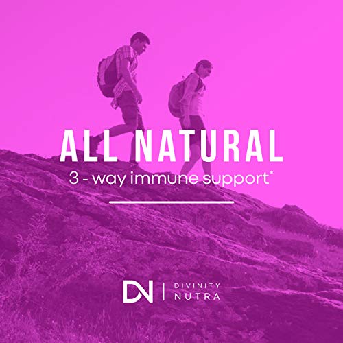 herbal elderberry gummies for natural defense