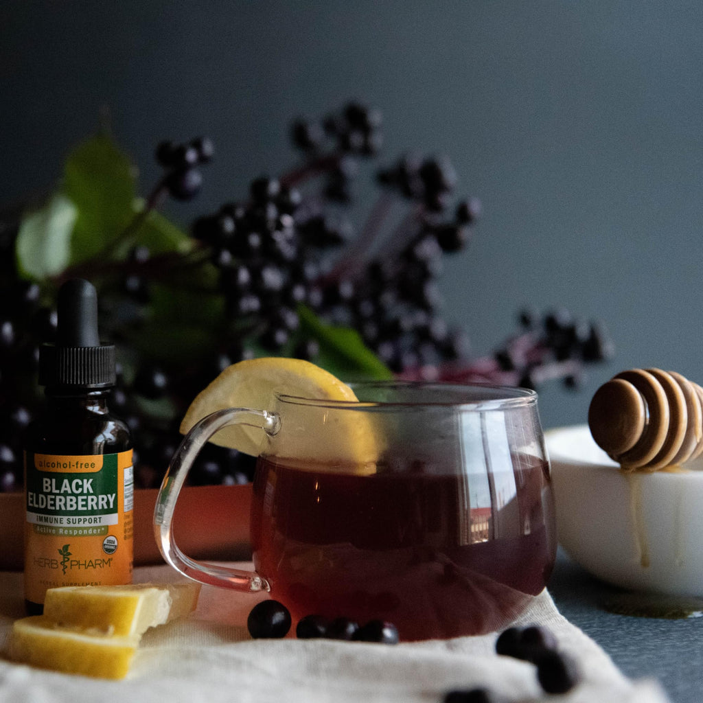 herbal elderberry immune booster