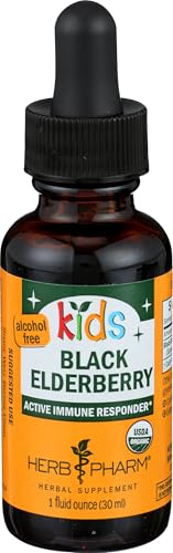 herbal elderberry remedy for colds