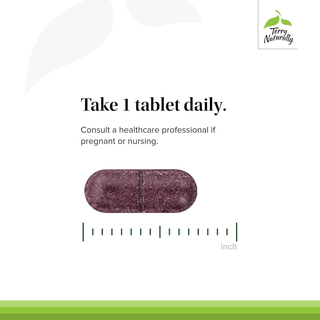 herbal elderberry supplement for adults