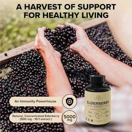 Herbal elderberry supplement for immunity