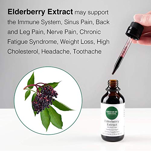 herbal elderberry supplement for wellness