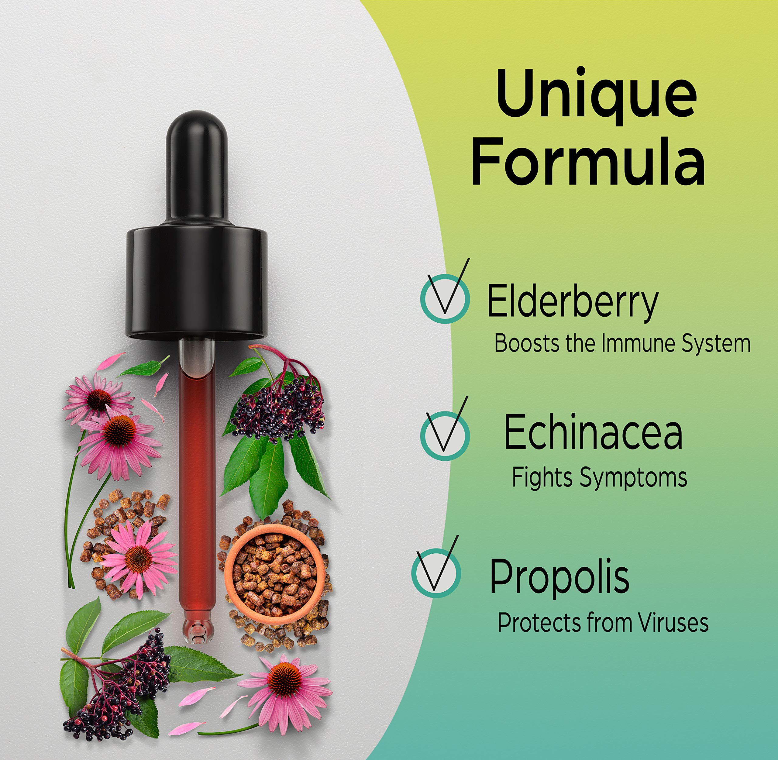 herbal elderberry supplement with echinacea